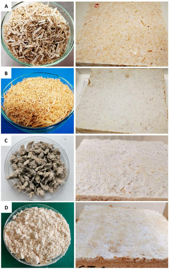 Assessing the Conformity of Mycelium Biocomposites for Ecological ...