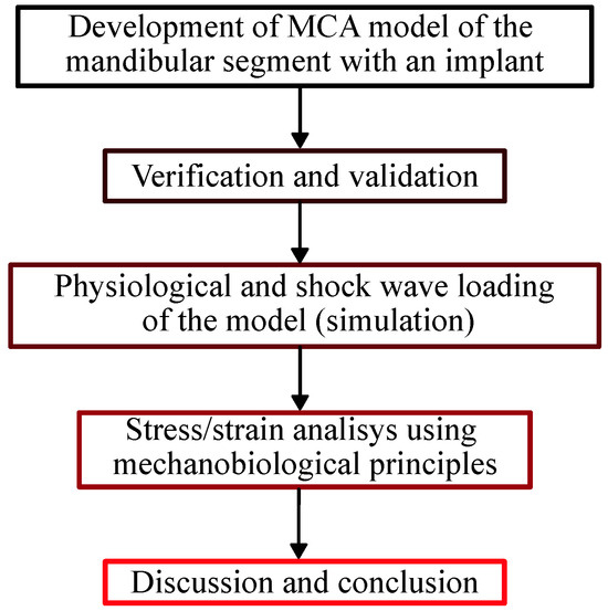 Biomechanics of Osseointegration of a Dental Implant in the Mandible ...