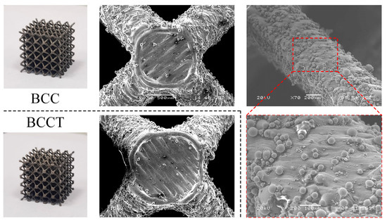 Enhanced Compressive Mechanical Properties of Bio-Inspired Lattice Metamaterials with Taper Struts