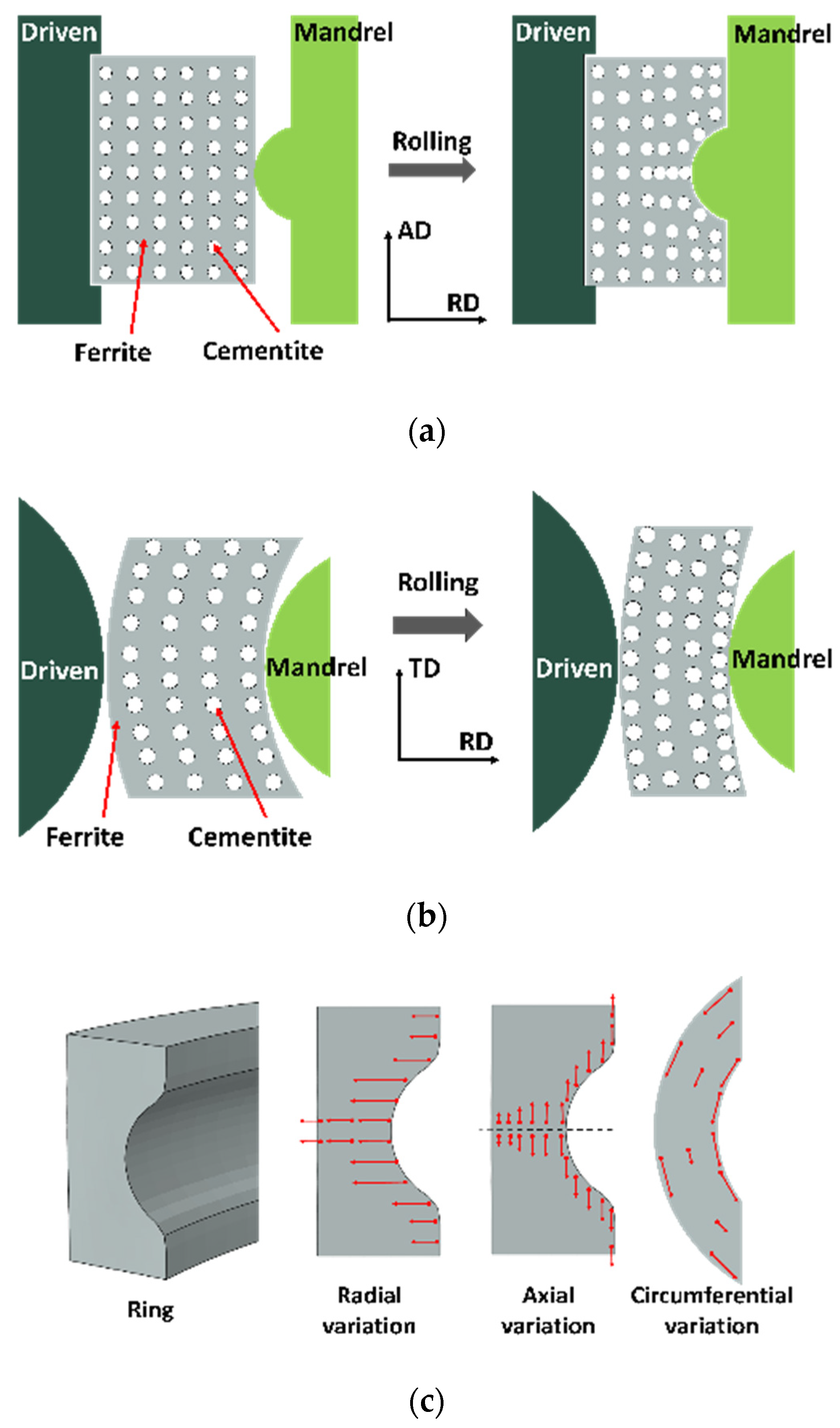 Flow Behavior Analysis of the Cold Rolling Deformation of an M50 Bearing Ring Based on the ...