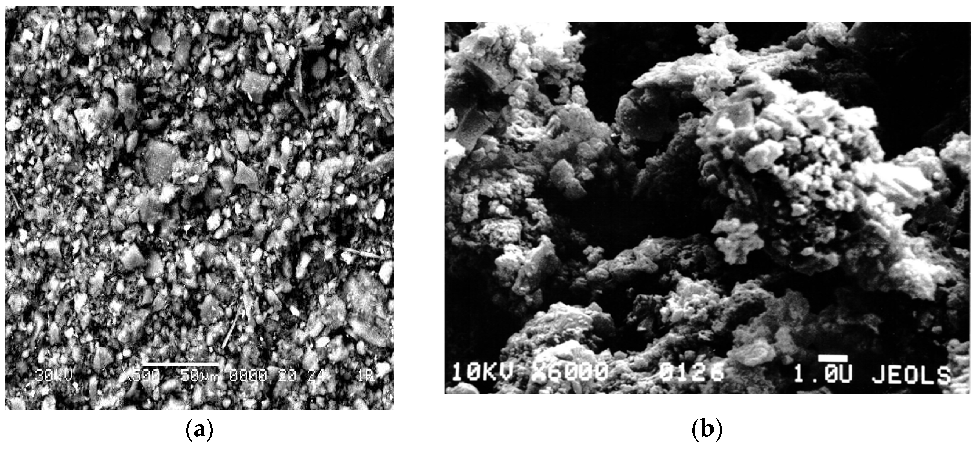The Potential of Using Shungite Mineral from Eastern Kazakhstan in Formulations for Rubber ...