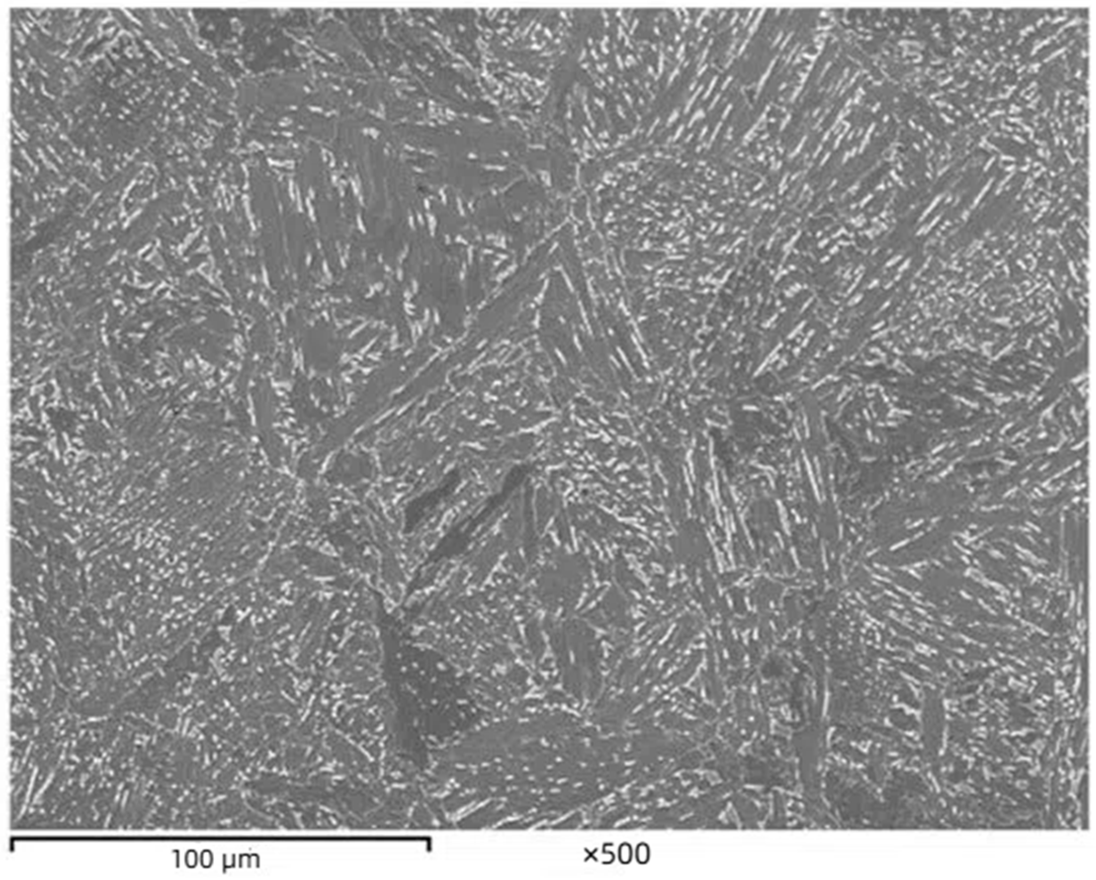 Research Progress on Titanium–Niobium Micro-Alloyed High-Strength Steel