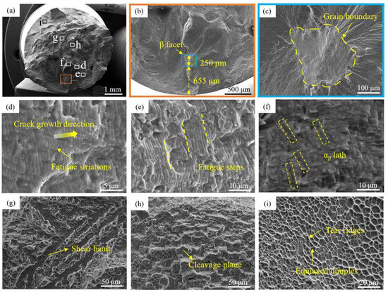 Microstructural Influences on High Cycle Fatigue Crack Initiation Mechanism in Ti-Al-Mo-Cr-V-Nb ...
