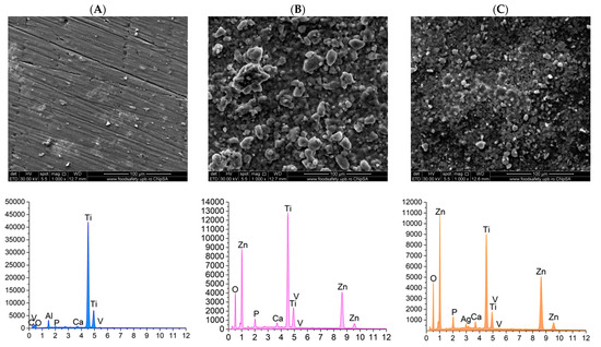 Antibacterial Properties of PMMA/ZnO(NanoAg) Coatings for Dental ...