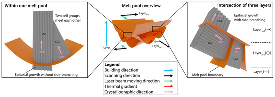 Cell Structure in LPBF 316L—Microstructural Heterogeneity, Thermal ...