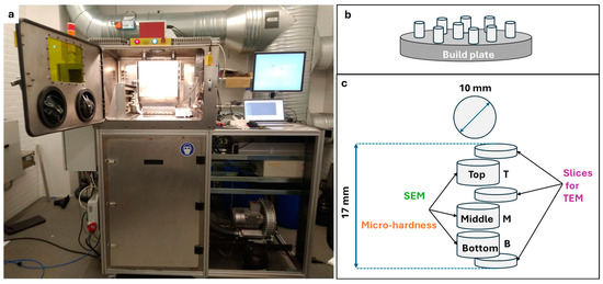 Cell Structure in LPBF 316L—Microstructural Heterogeneity, Thermal ...