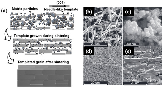 Textured Lead-Free Piezoelectric Ceramics: A Review of Template Effects