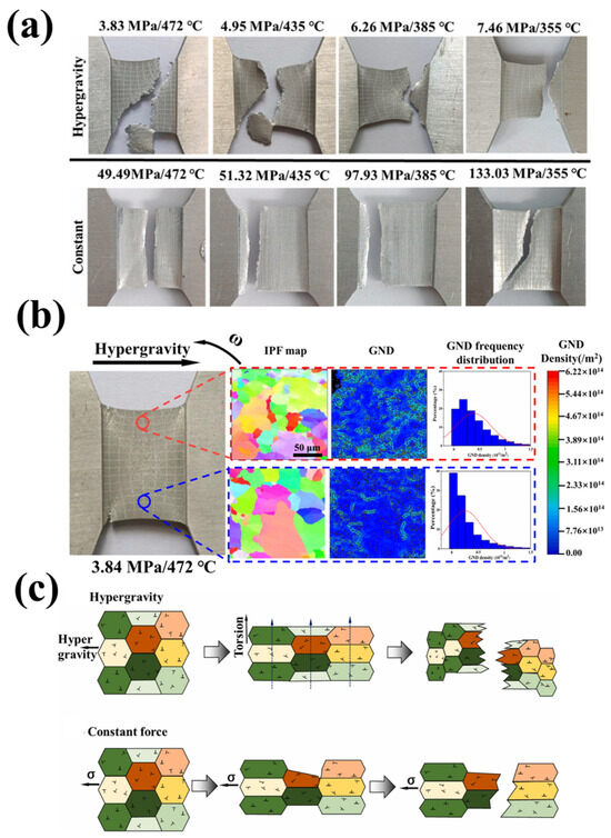 Effects of Hypergravity on Phase Evolution, Synthesis, Structures, and ...