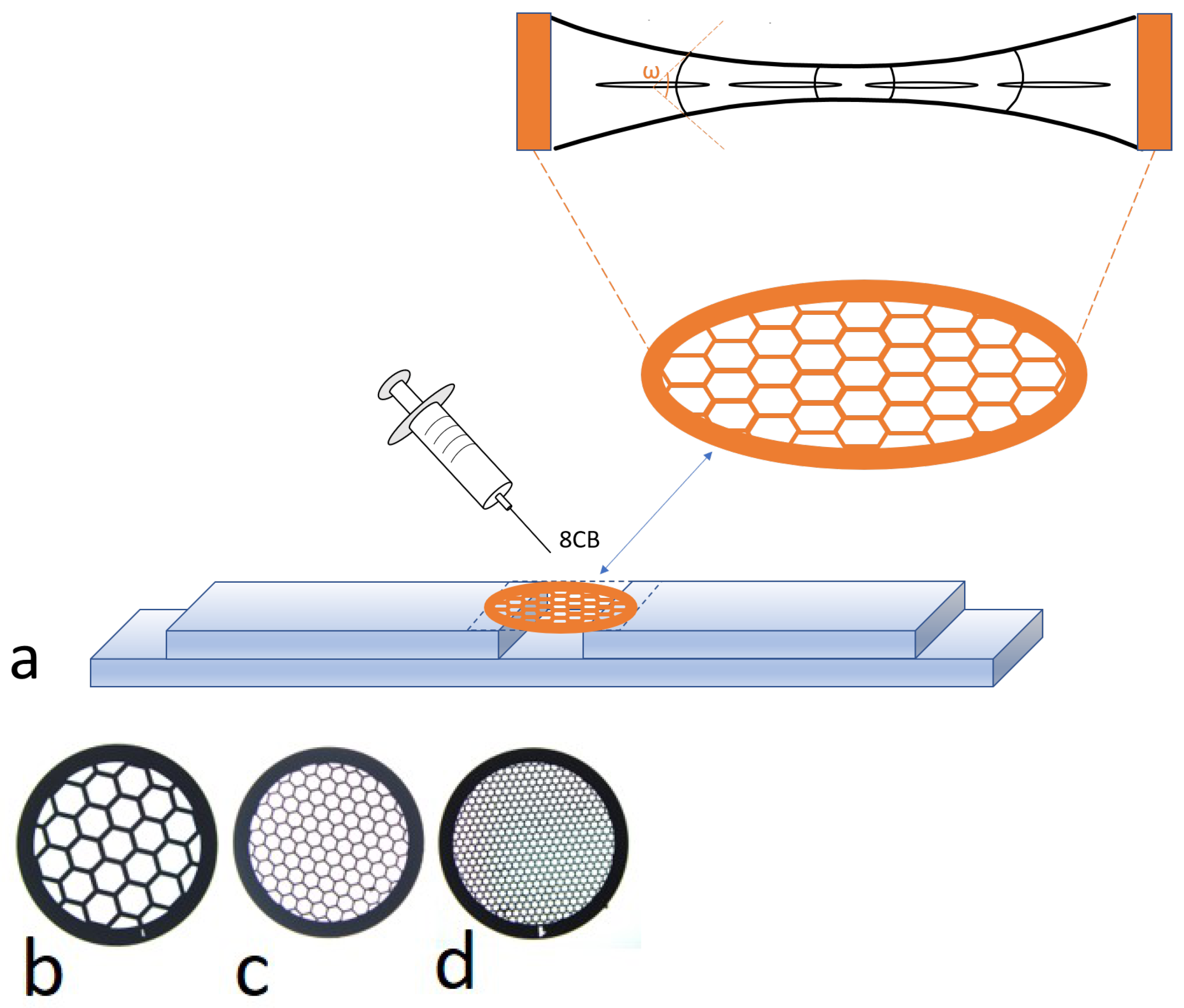 Evolution of Focal Conic Domains in SmA-N Phase Transition