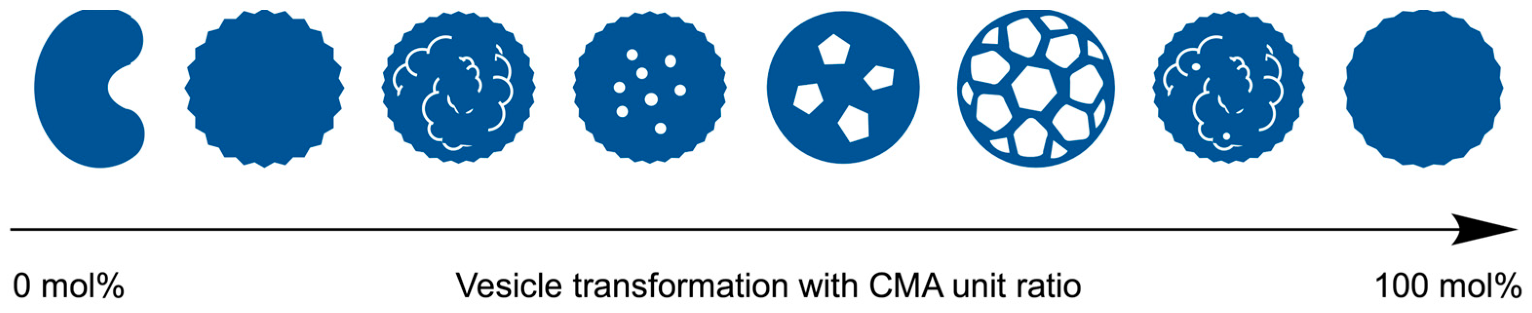 Protein Cage-like Vesicles Fabricated via Polymerization-Induced ...