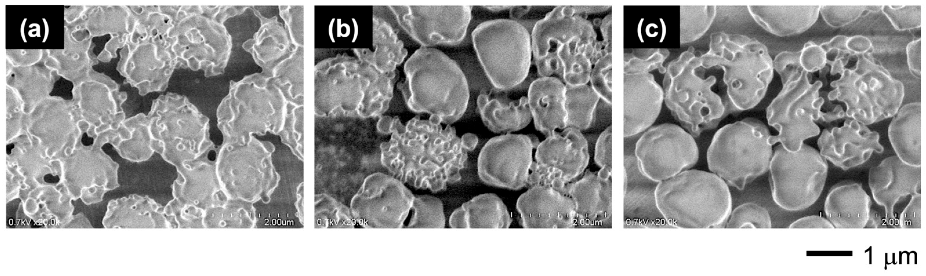 Protein Cage-like Vesicles Fabricated via Polymerization-Induced ...