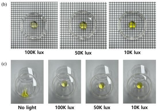 Light-Intensity-Dependent Control of Collagen Hydrogel Properties via ...