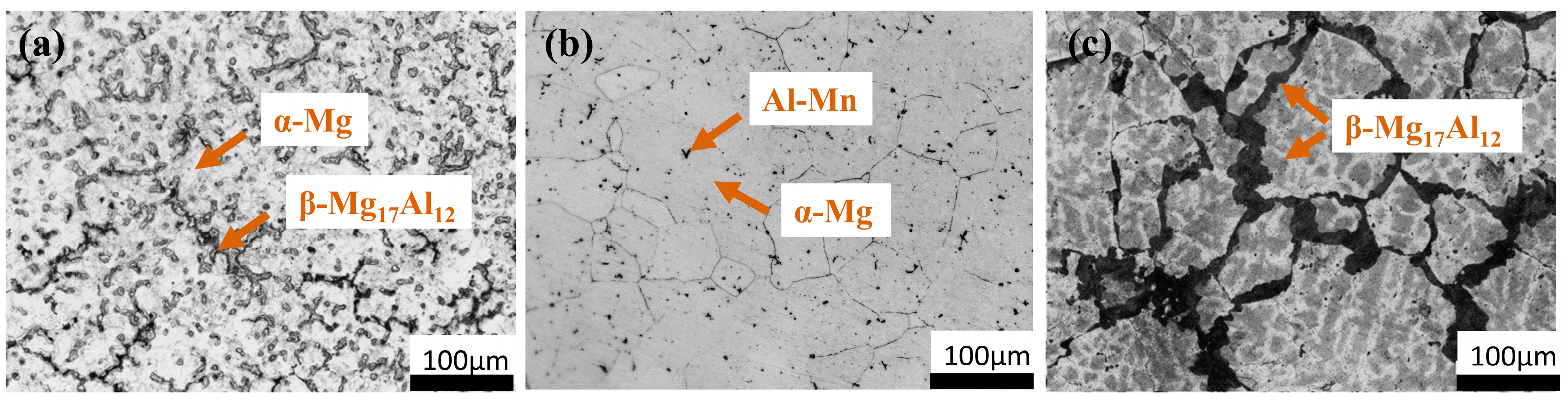 Impact of Microstructure on the In Situ Formation of LDH Coatings on ...
