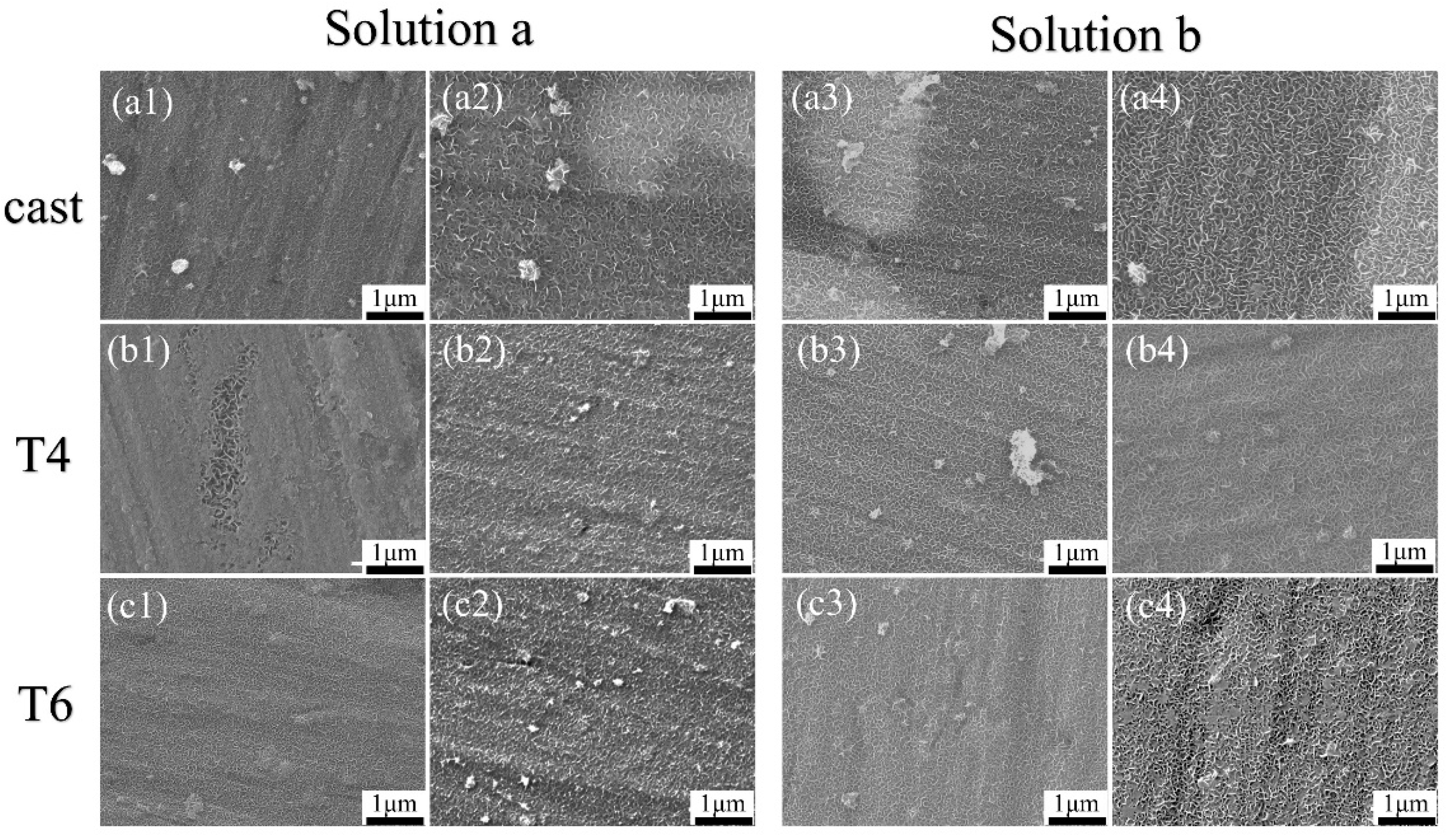Impact of Microstructure on the In Situ Formation of LDH Coatings on ...