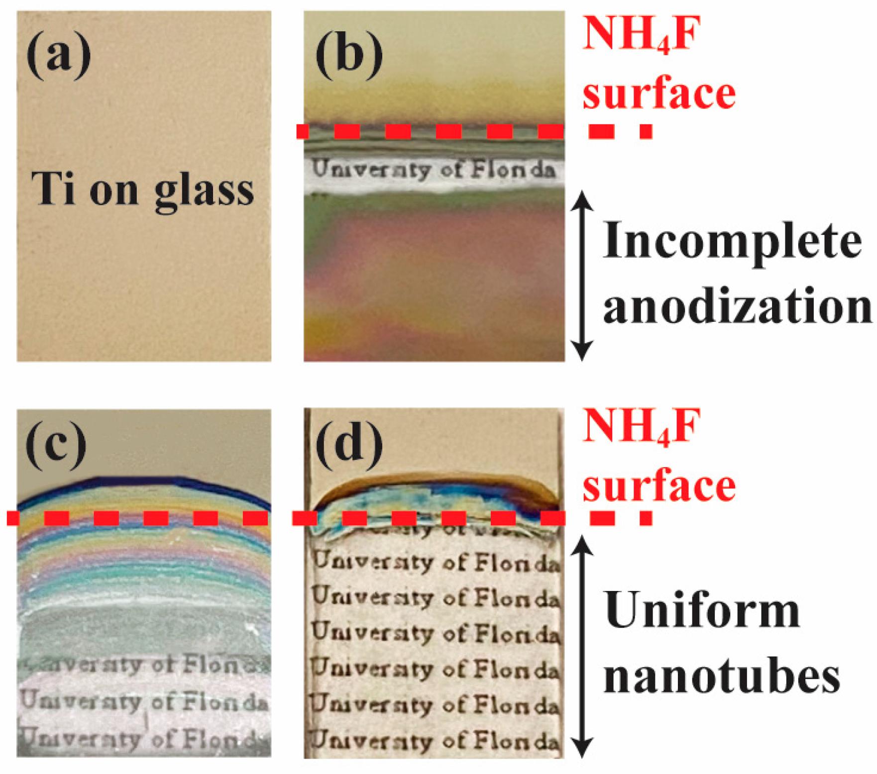 Fabrication of TiO2 Nanotube Arrays by Progressive Anodization of Ti Thin Film on Insulated ...