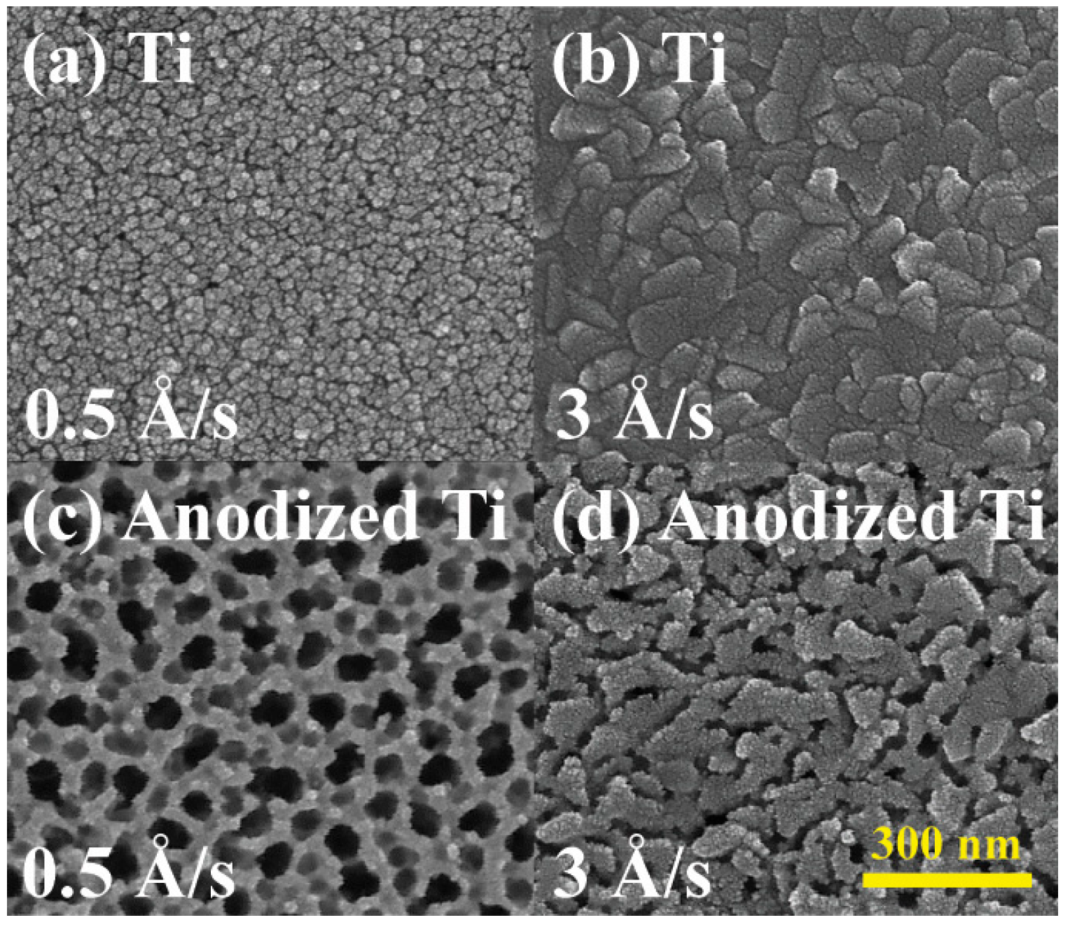Fabrication of TiO2 Nanotube Arrays by Progressive Anodization of Ti Thin Film on Insulated ...