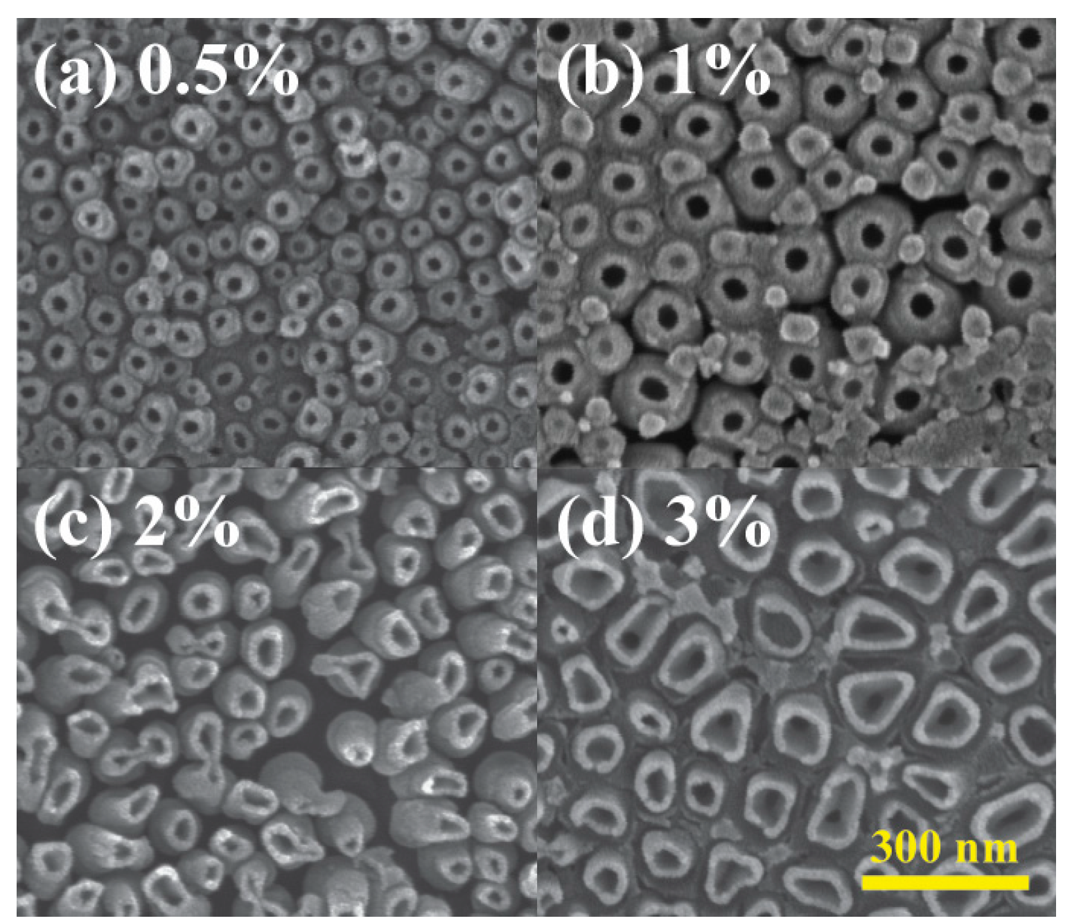 Fabrication of TiO2 Nanotube Arrays by Progressive Anodization of Ti Thin Film on Insulated ...
