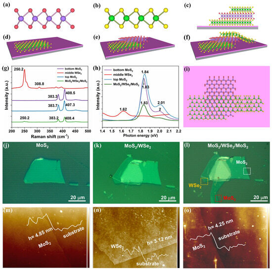Interactions of Terahertz Photons with Phonons of Two-Dimensional van ...