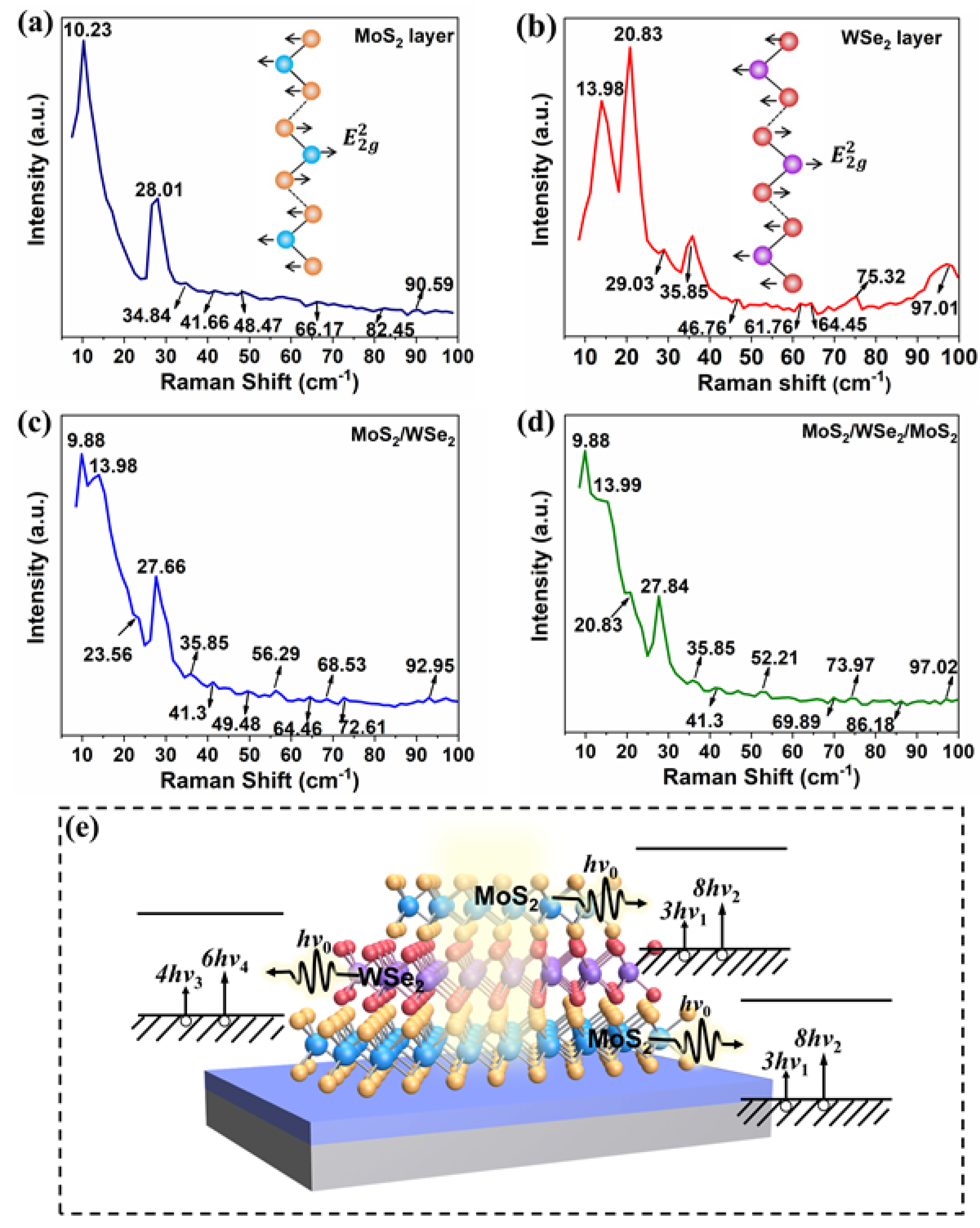Interactions of Terahertz Photons with Phonons of Two-Dimensional van ...