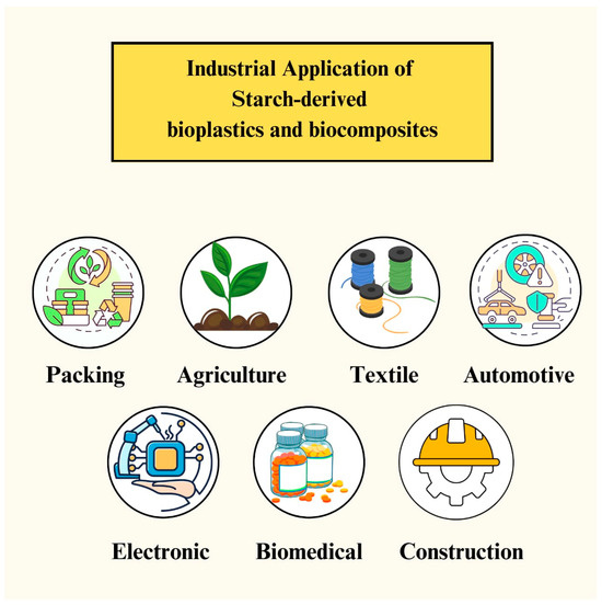 Starch-Derived Bioplastics: Pioneering Sustainable Solutions for Industrial Use