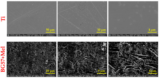 Bioactive Glass and Melittin Thin Films Deposited by MAPLE for Titanium ...