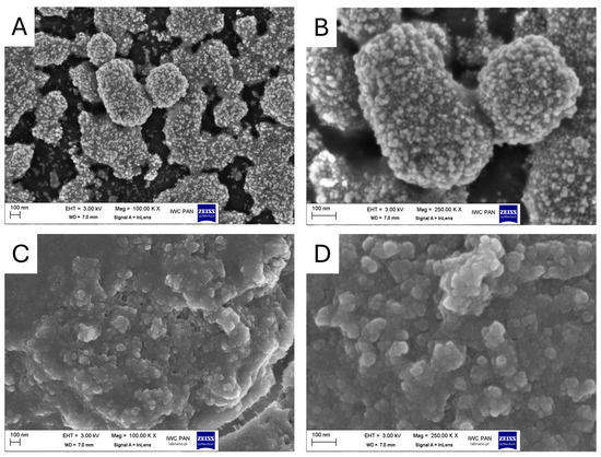 Differential lncRNA Expression in Undifferentiated and Differentiated ...