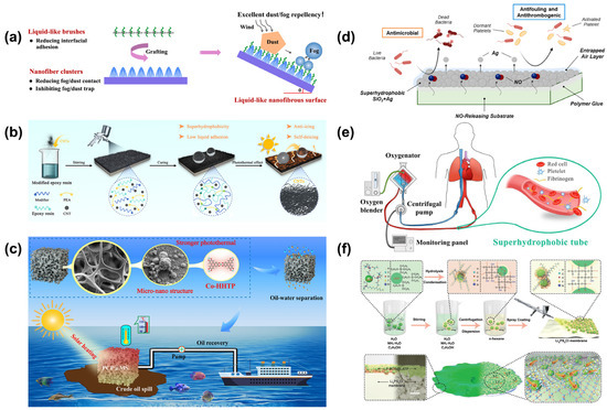 Biomimetic Superhydrophobic Surfaces: From Nature to Application