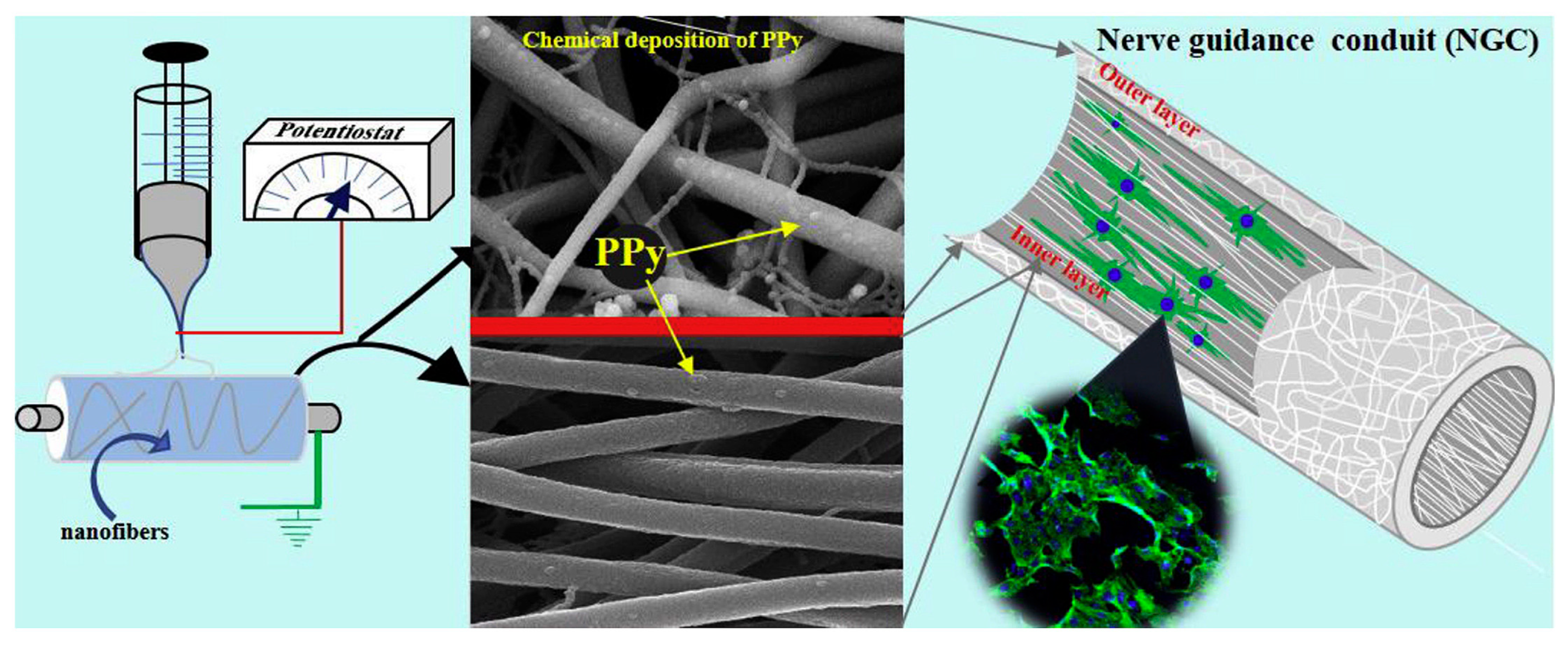 Advances in Polypyrrole Nanofiber Composites: Design, Synthesis, and ...