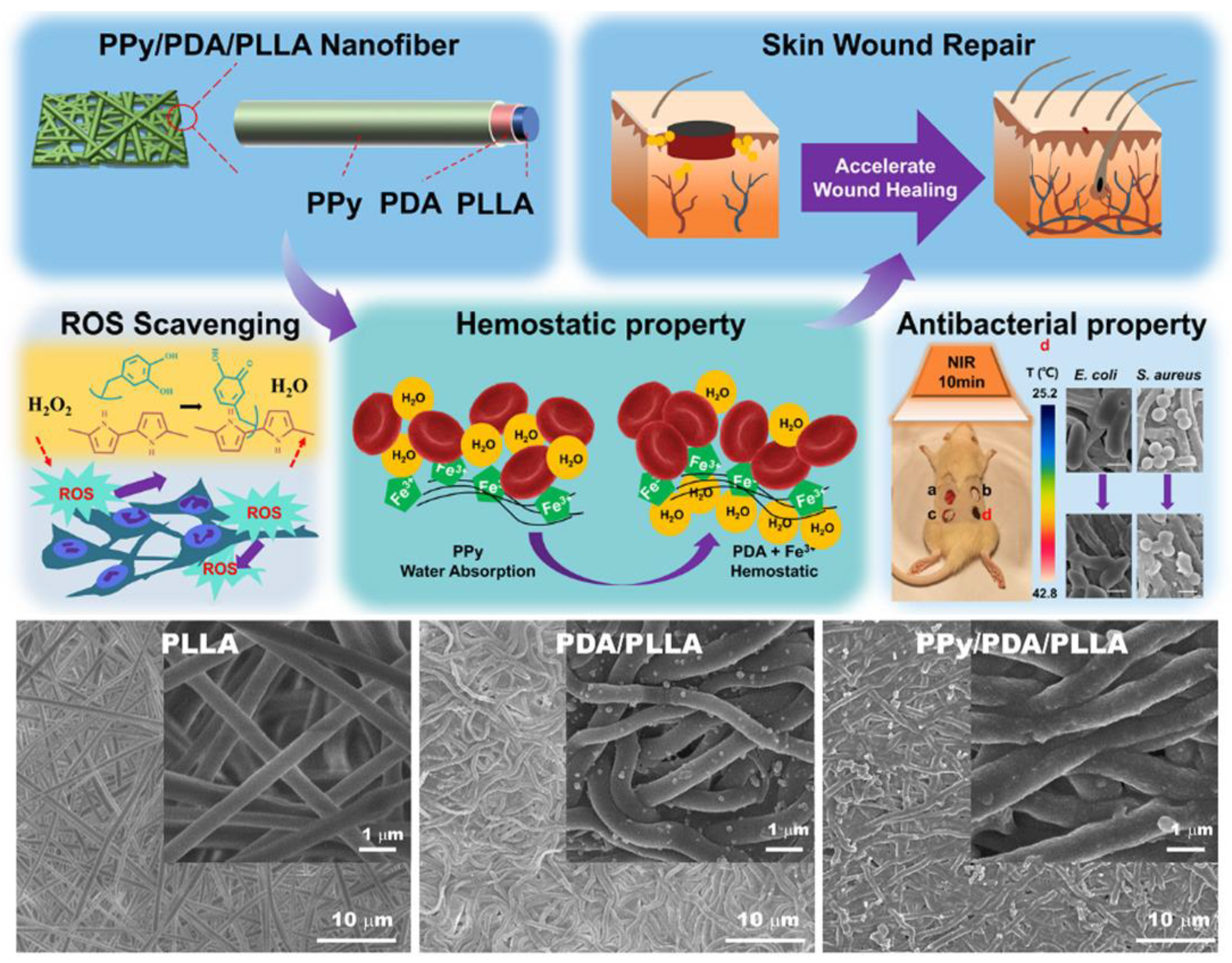 Advances in Polypyrrole Nanofiber Composites: Design, Synthesis, and ...