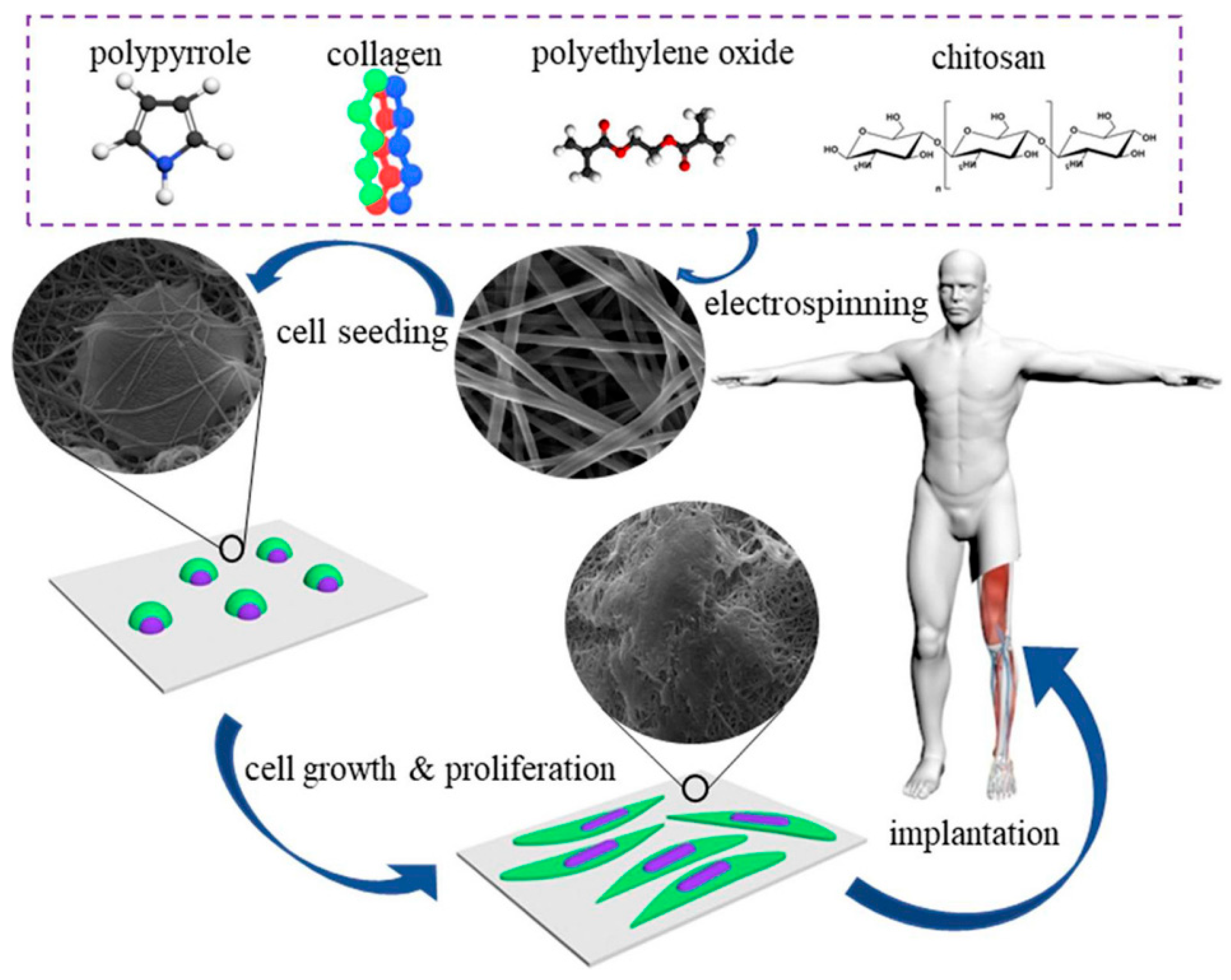 Advances in Polypyrrole Nanofiber Composites: Design, Synthesis, and ...