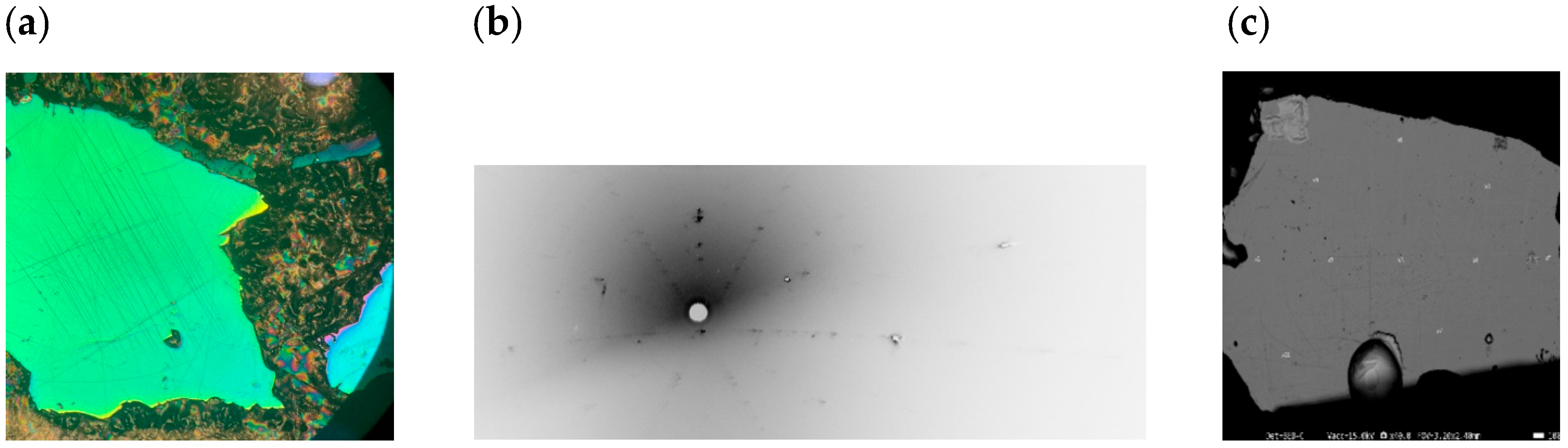Itinerant and Correlated Nature of Altermagnetic MnTe Single Crystal ...