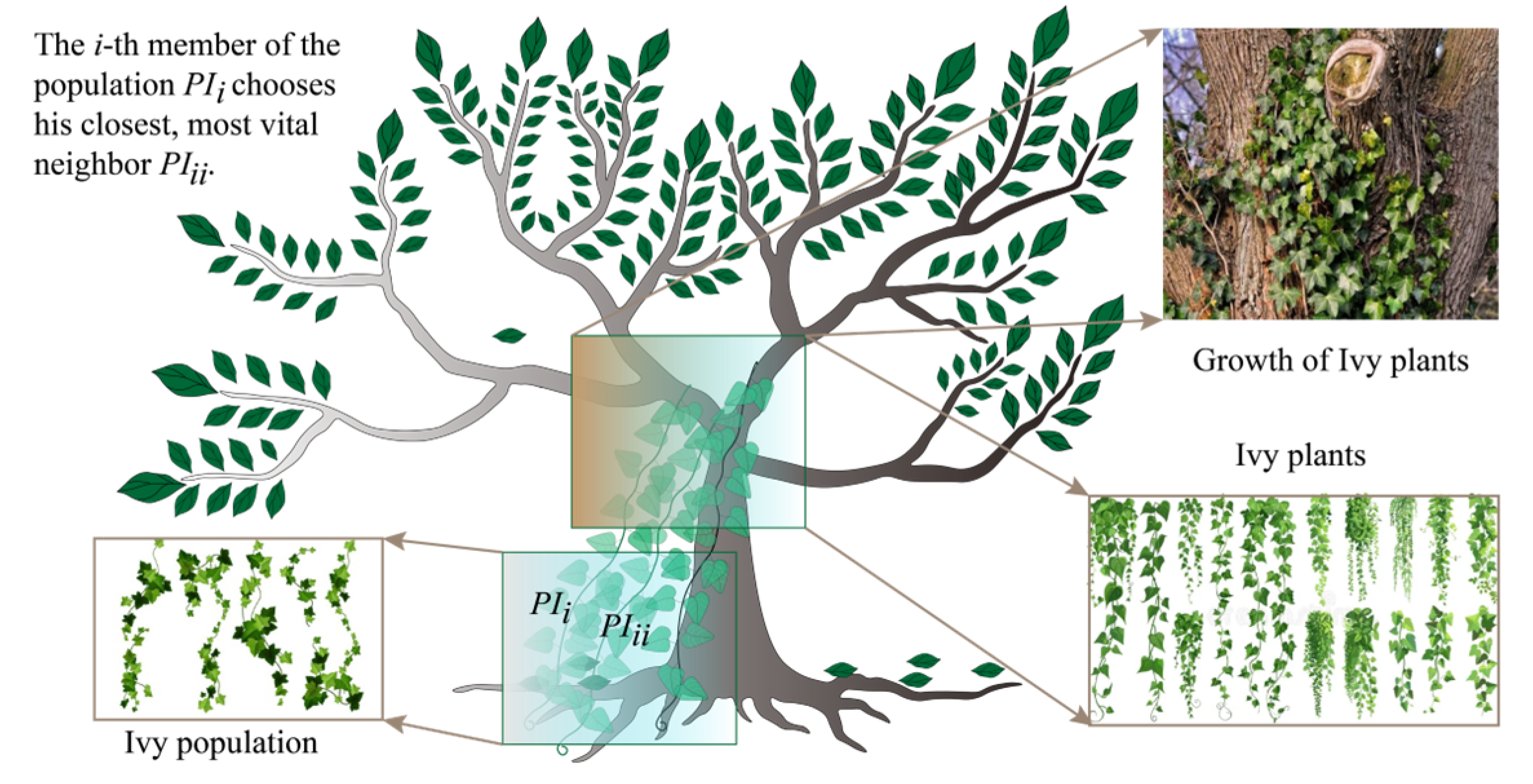 Use of BOIvy Optimization Algorithm-Based Machine Learning Models in Predicting the Compressive ...
