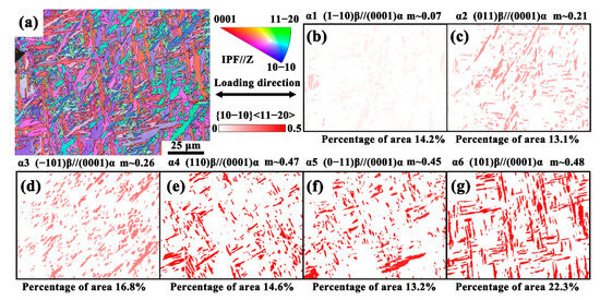 Quasi-In Situ EBSD Investigation of Variant Evolution and Twin ...