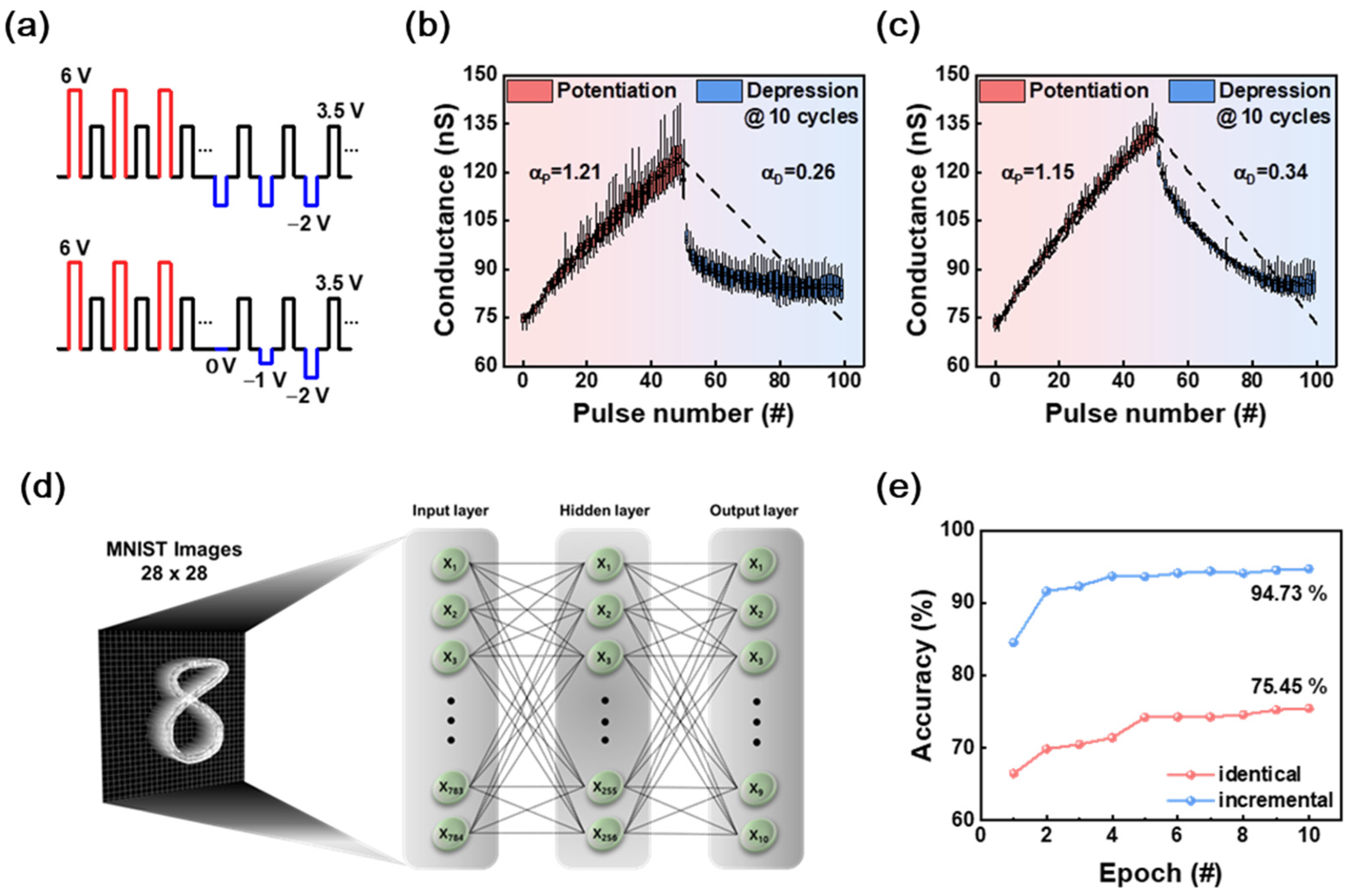 Associative Learning Emulation in HZO-Based Ferroelectric Memristor Devices