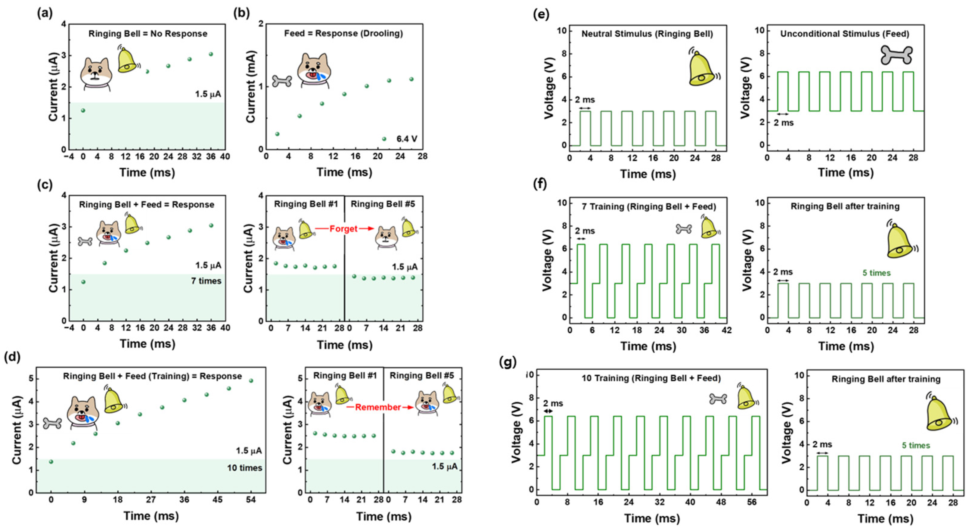 Associative Learning Emulation in HZO-Based Ferroelectric Memristor Devices