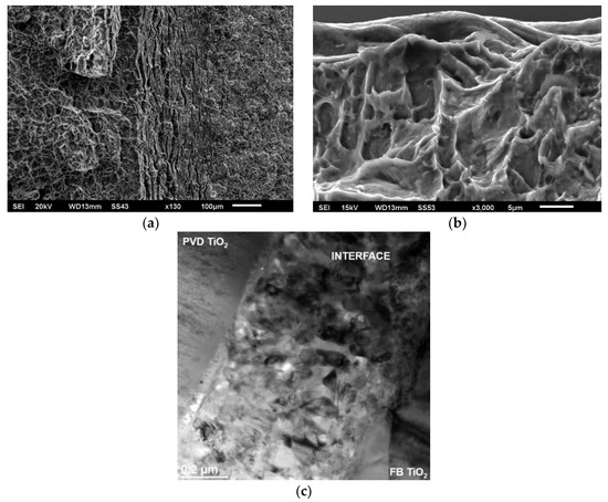 Hybrid Oxidation of Titanium Substrates for Biomedical Applications