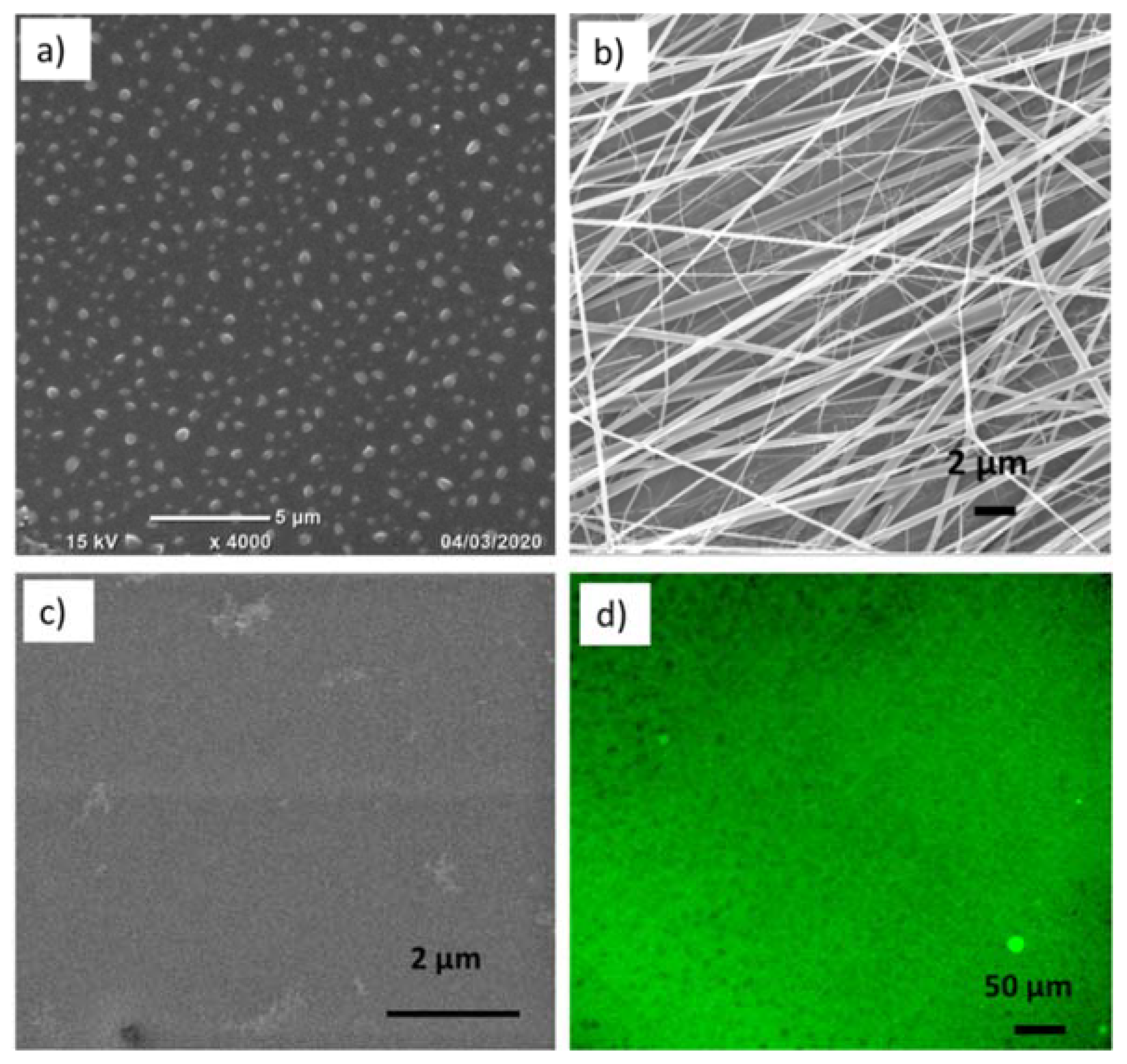 Natural Coatings on Titanium Surfaces to Improve Their Biological Response