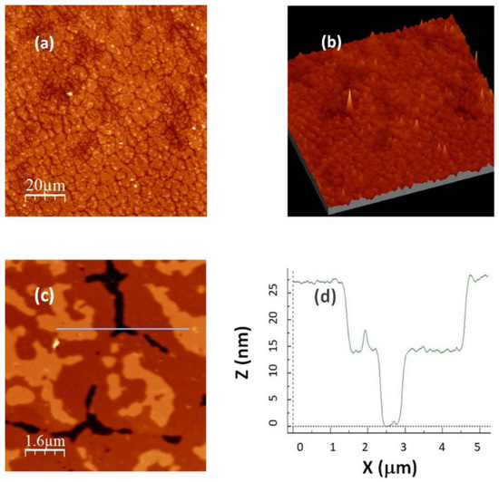 Physical Investigation of Spin-Coated MoS2 Films