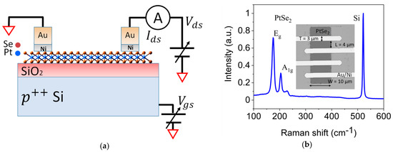 Electrical Conduction and Photoconduction in PtSe2 Ultrathin Films