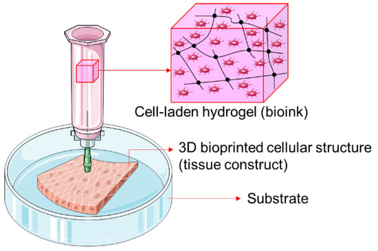 Hydrogel-Based Bioinks for Three-Dimensional Bioprinting: Patent Analysis
