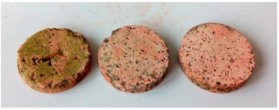 The Influence of the Quality of Brick Firing on Their Calcium Diffusion ...