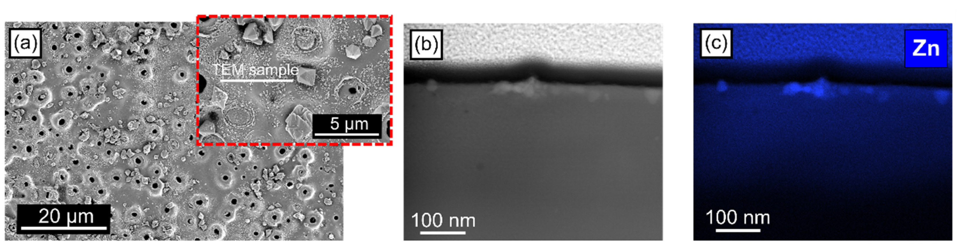 Microstructure Characterization of Titania-Based Micro-Arc Oxidation ...