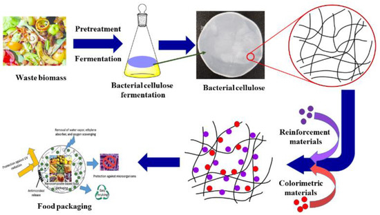 Production of Low-Cost Nano-Functionalized Bacterial Cellulose Films ...