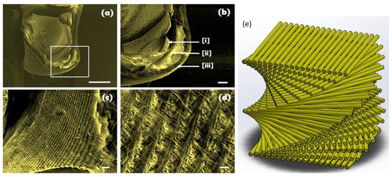 Predicting the Flexural Modulus of Variable Pitch Angle, Porous ...