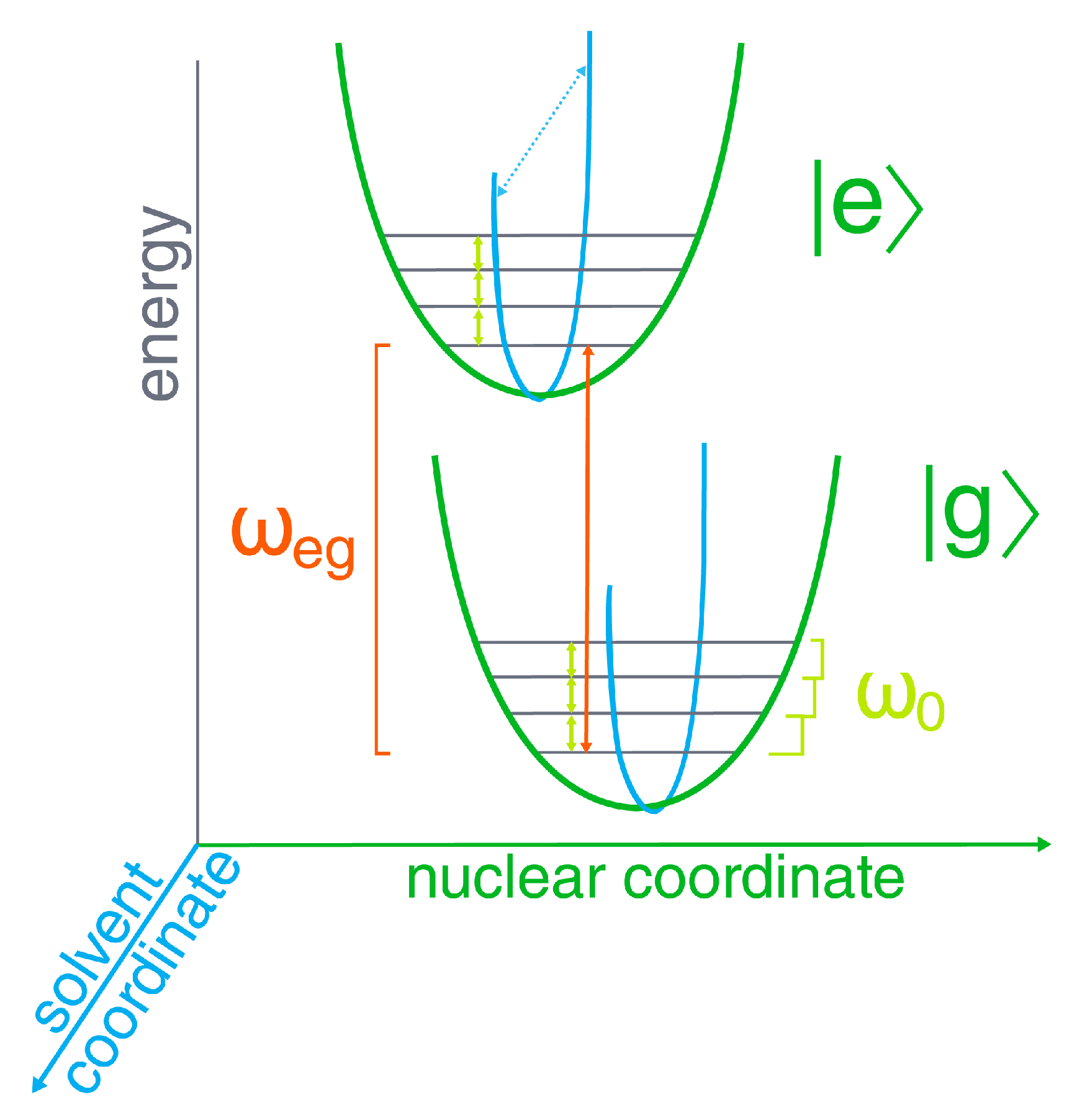 Interference among Multiple Vibronic Modes in Two-Dimensional ...