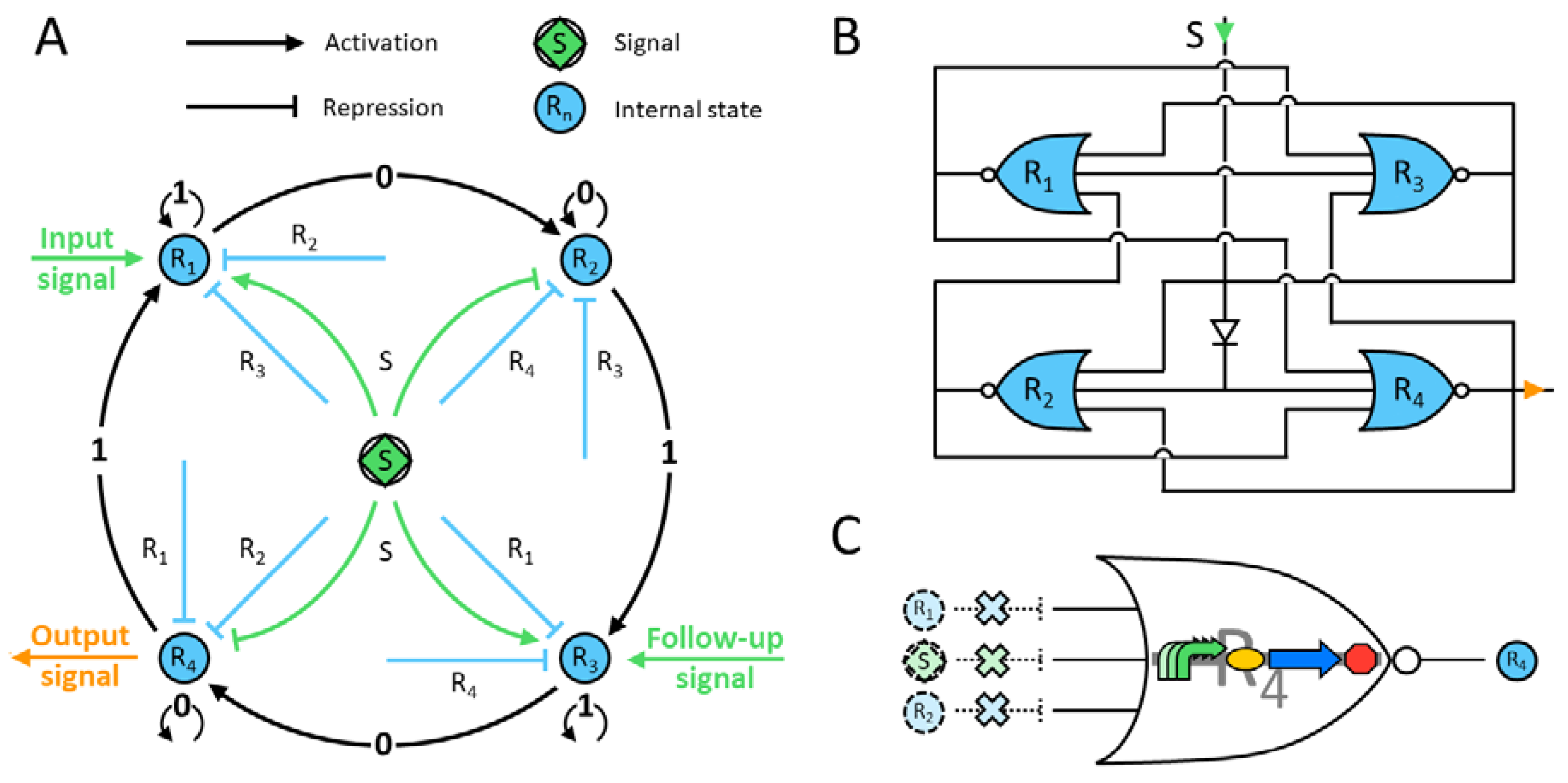 Rational Design of a Genetic Finite State Machine: Combining Biology ...