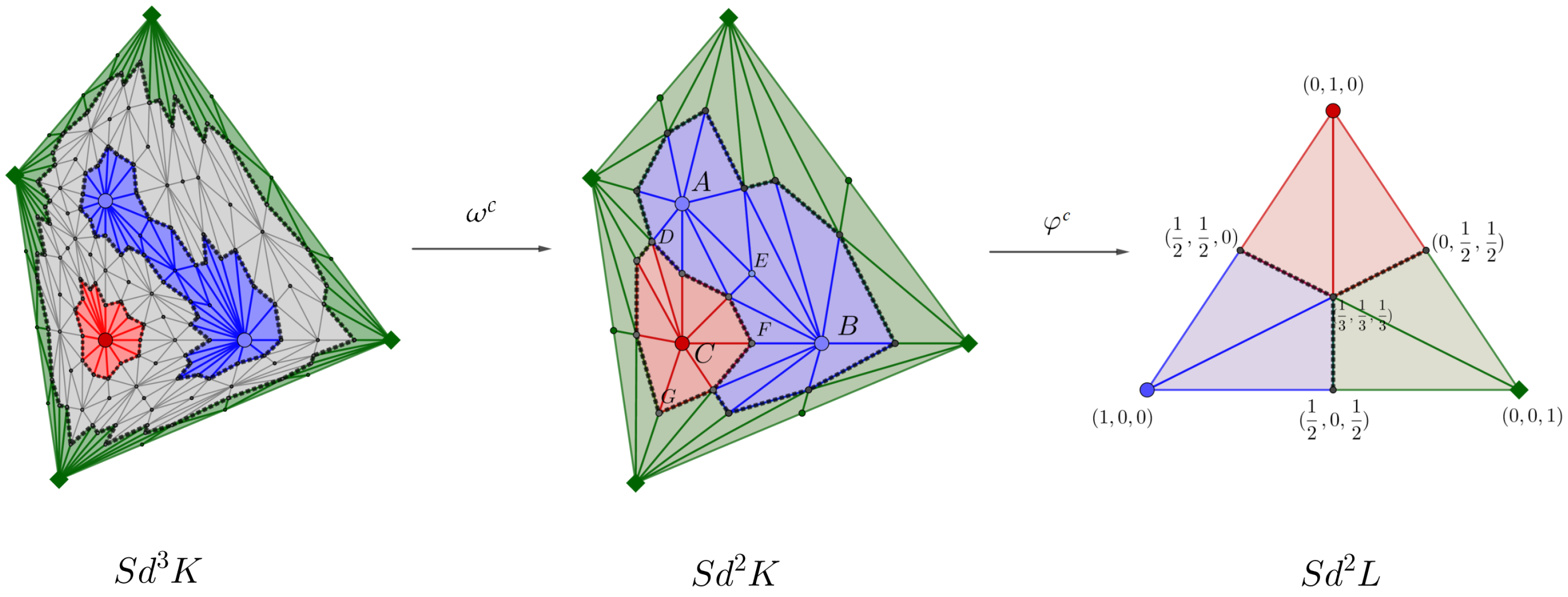 Simplicial-Map Neural Networks Robust to Adversarial Examples