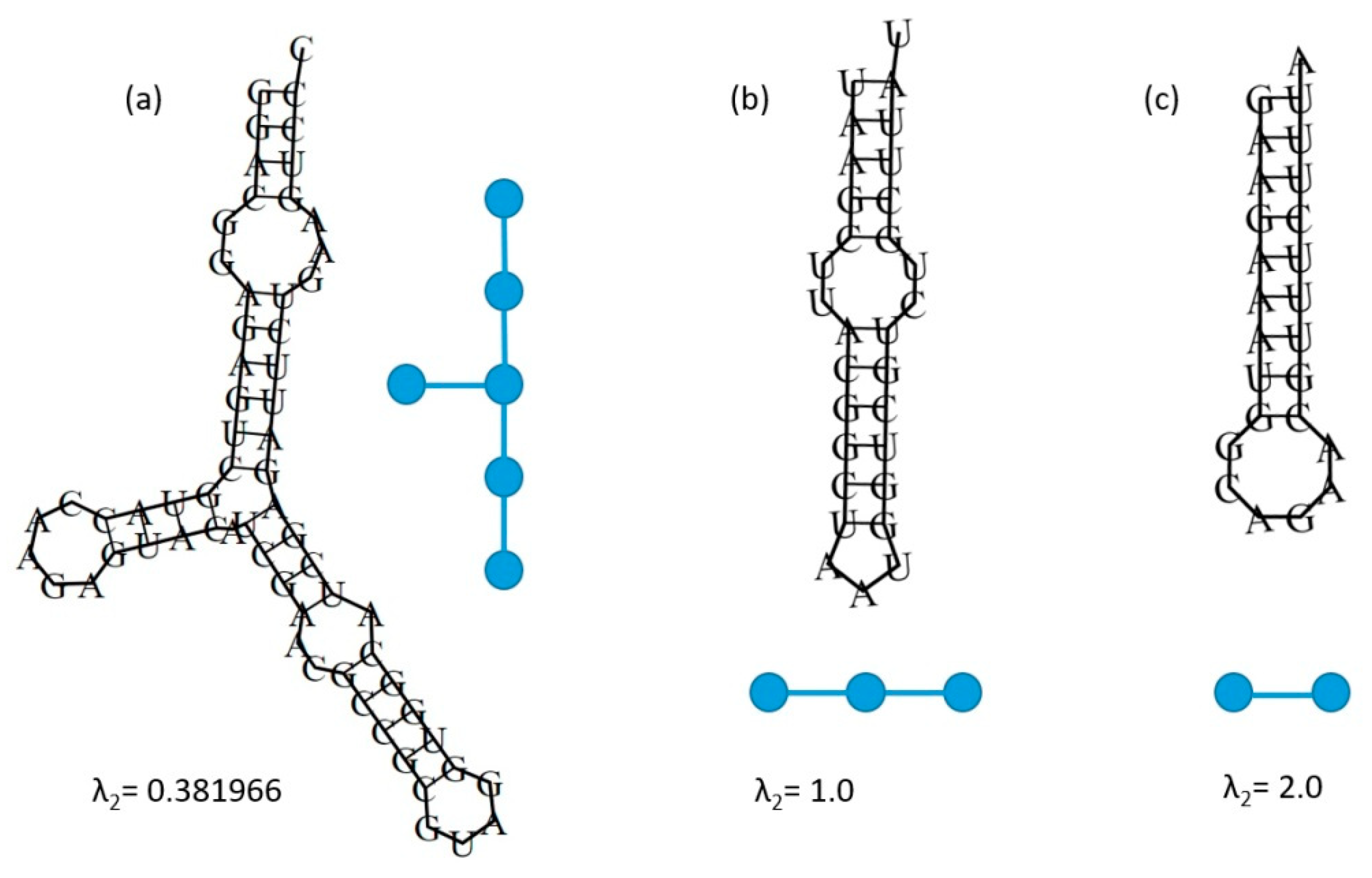 A Mathematical Analysis of RNA Structural Motifs in Viruses