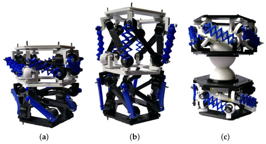 Modular and Self-Scalable Origami Robot: A First Approach