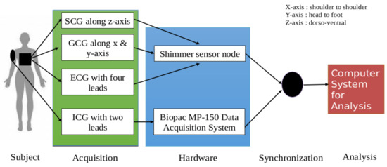 A Comprehensive Review on Seismocardiogram: Current Advancements on ...
